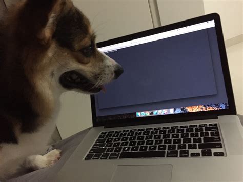 Deep Dive Into Ios Automation At Grab Continuous Delivery