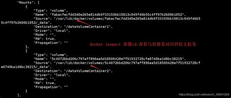 Docker容器技术 镜像原理 数据卷 数据卷容器容器镜像原理 Csdn博客