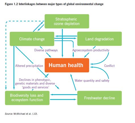 Connecting The Environment With Health