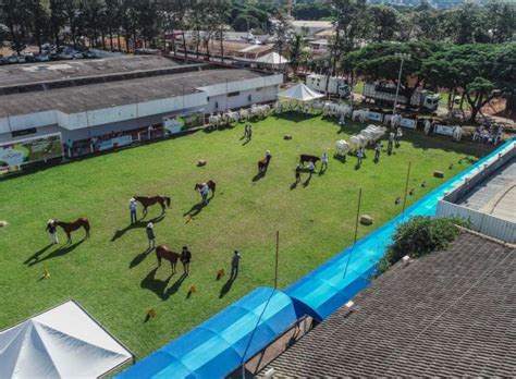 Potencial produtivo e de turismo rural será foco do IDR Paraná na