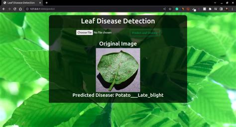 [latest] 20 top machine learning projects with source code 2025