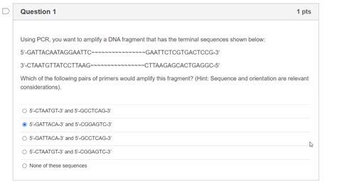 Solved Question Pts Using PCR You Want To Amplify A DNA Chegg