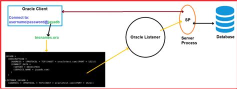 How To Connect To Oracle Database Dot Net Tutorials