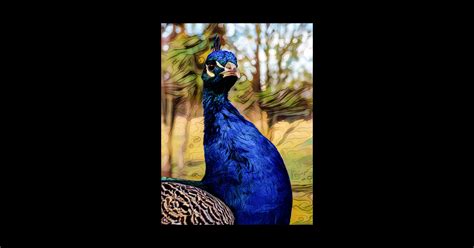 He Is From An Upper Class Background Bokeh Posters And Art Prints