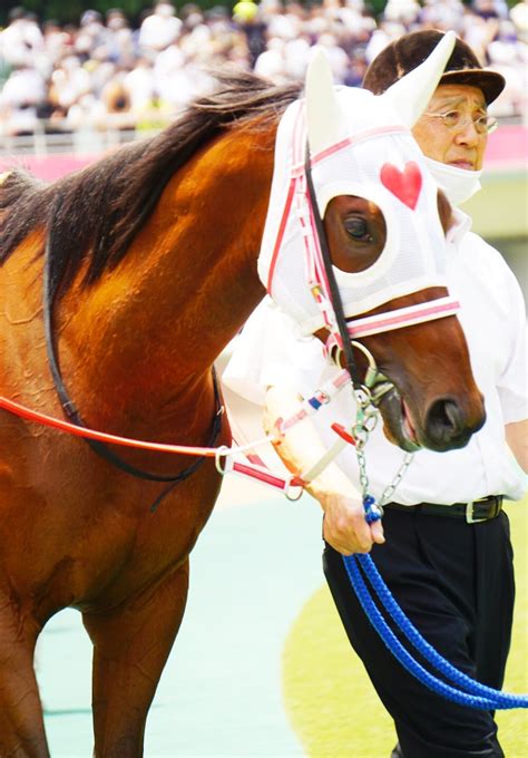 6月5日東京競馬⭐︎2歳新馬⭐︎ラブリージュビリー⭐︎登録抹消 公式：黒澤ひかりのキラキラ日記～magic Kiss Lovers Only～