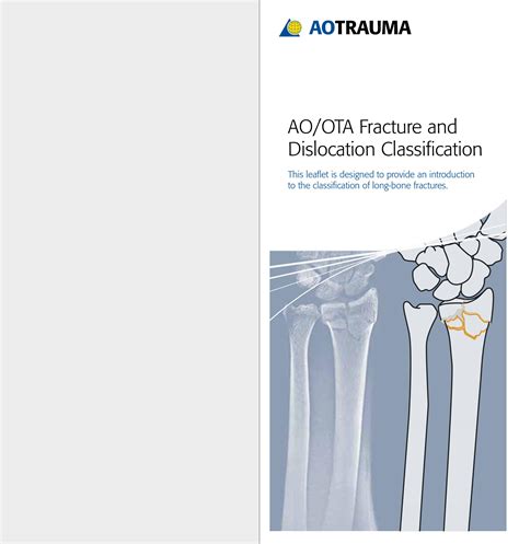 Classification Pinkybone