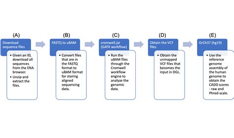 Scalable Knowledge Graph Construction And Inference On Human Genome Variants