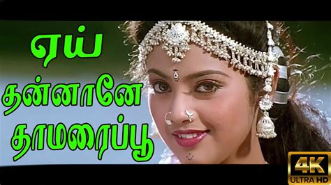 ஏய் தன்னானே தாமரைப்பூ மாமா தள்ளாடும் தண்ணியில Thannaane Thamara Poo Vijayakanth Meena 4k