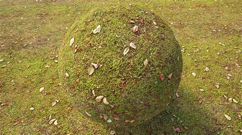 Artstation Grass Photogrammetry Based Environment Material