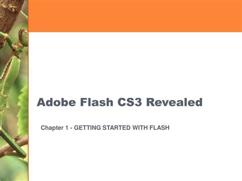 PPT Adobe Flash CS Revealed PowerPoint Presentation Free Download ID