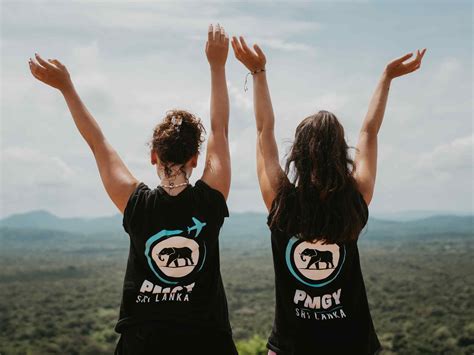 Plan My Gap Year The Tn Card