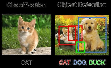 รับงานเขียน Python ทำ Machine Learning Ai Image Classification