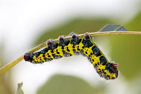 Java中的多态与继承 知乎