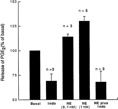 synthesis and release of pge 2 from sympathetic neurons diswe evoked