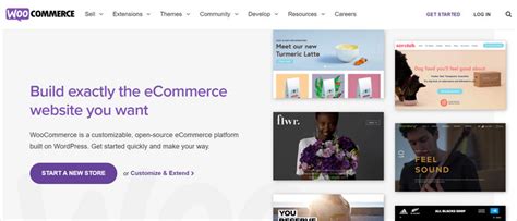 7 Best Wordpress Credit Card Payment Plugins For