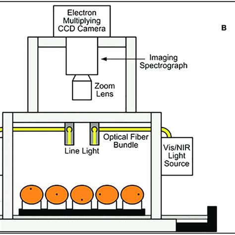 A Hyperspectral Imaging System For Acquiring Reflectance Images From Download Scientific