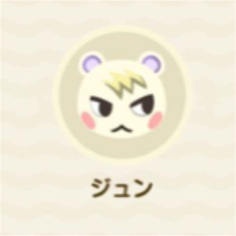 あつ森 注文 ジュン