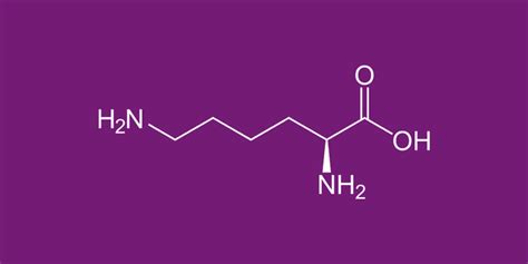 Was Ist L Lysin Und Was Passiert Bei Einem Mangel