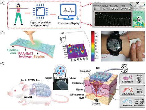 Seamless Integration Of Conducting Hydrogels In Daily Life From Preparation To Wearable