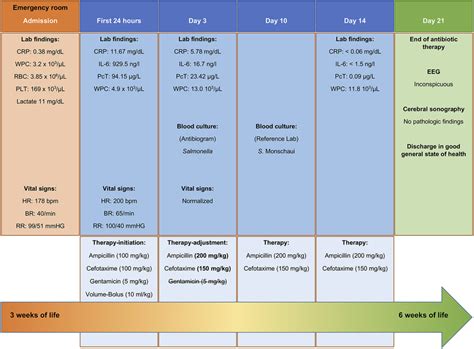 Principial Lab Results And Therapy Timeline Wbc White Blood Cell