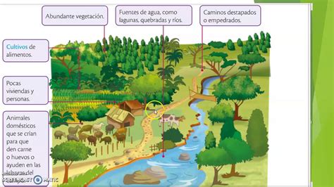 Cuales Son Las Diferencias Entre Los Ecosistemas Natu