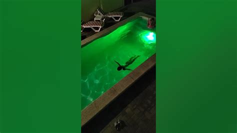 Южная Дача Геленджик Август 2024 Сын научился плавать Youtube