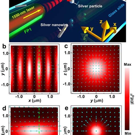 The Model Used For The 3d Fdtd Simulation B The Calculated Axial Download Scientific Diagram