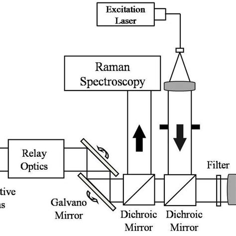 Principle Of Confocal Fluorescence Microscopy Download Scientific Diagram