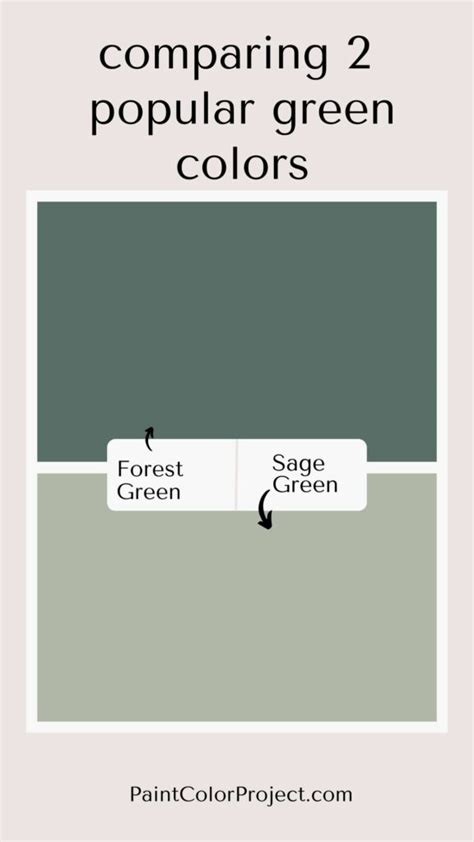 Forest Green Vs Sage Green What S The Difference The Paint Color