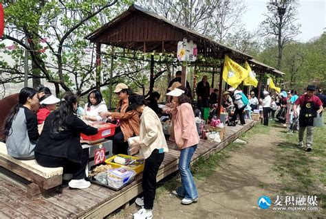 芳华盛起 锦绣麦积麦积区东山林隐赏春踏青好去处 图 天水在线