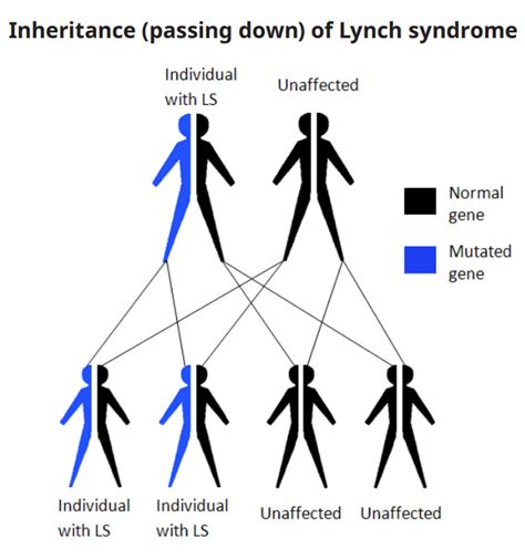 Lynch Syndrome Gynecologist Group