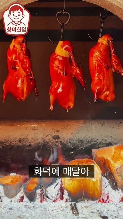 🦆베이징 덕 정말 껍질만 먹을까 Youtube