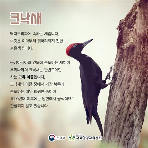 3월 3일 세계 야생 동식물의 날 뉴스트림