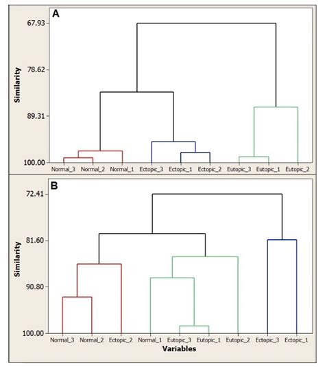 Hierarchical Cluster Analysis Of Nine Samples Into Three Clusters A