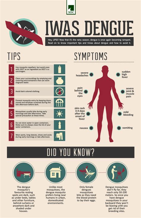 Dengue Awareness Poster Drawing How To Draw Dengue Aw