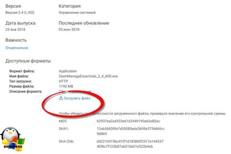 Как установить Dell OpenManage Essentials OME Настройка серверов windows и linux