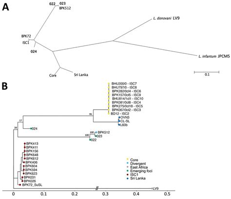 Figure Source Tracing Of Leishmania Donovani In Emerging Foci Of
