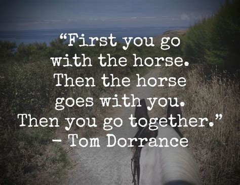 ️ Passive Observation ️ Active Influence Holly Bennetts