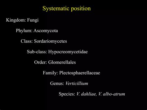 Tomato Verticillium Wilt Pptx Gardening Home And Garden