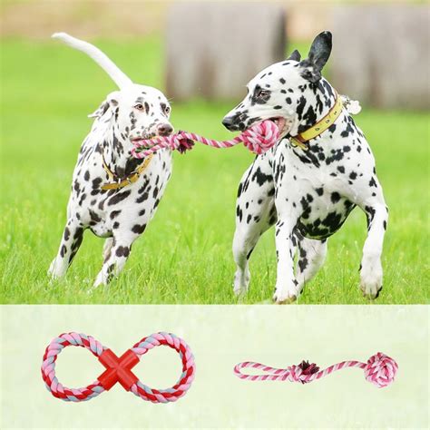 Dog Toys Quality Safe Pet Dog Rope Chew Toys Set Supplies For Small