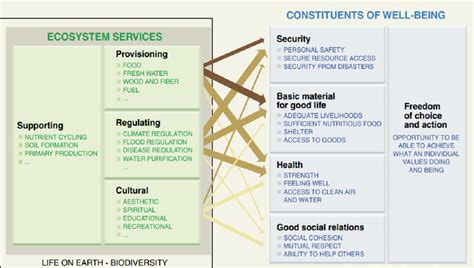 Linkages Between Ecosystem Services And Human Well Being Source Download Scientific Diagram