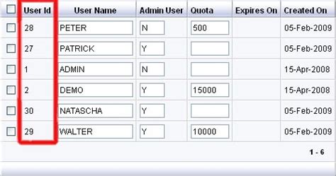 Qaiums It Demonstration Tabular Form Serial Number Auto Generation