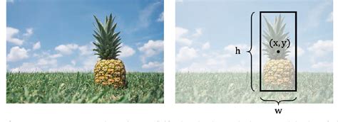 Figure 1 From Object Detection And Size Determination Of Pineapple