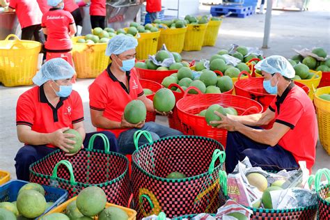 Bài Toán Xuất Khẩu Tiểu Ngạch Sang Trung Quốc Cơ Hội Cho Người