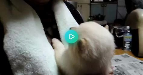 Please Dont Eat Me Album On Imgur