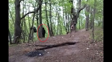 Случай в лесу Youtube