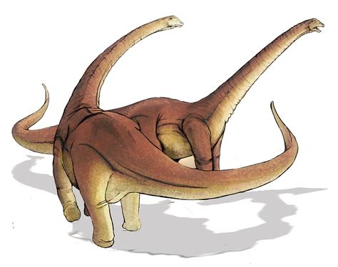 Alamosaurus Dinosaur Planet Remake New Ideas By Matt Weaver Wiki Fandom