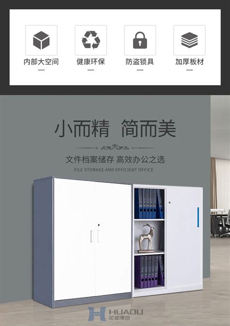 窄边双色对开门矮柜 武汉花都集团