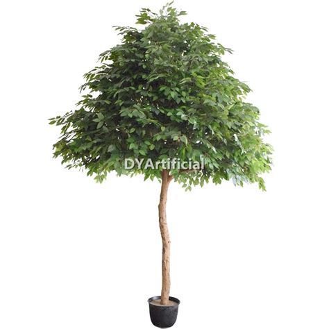 Customized Sizes Wooden Trunk Large Artificial Ficus Tree DYArtificial
