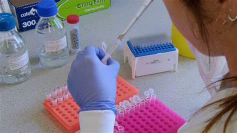 Video Extraction Of Glycan From Alcohol Insoluble Residue